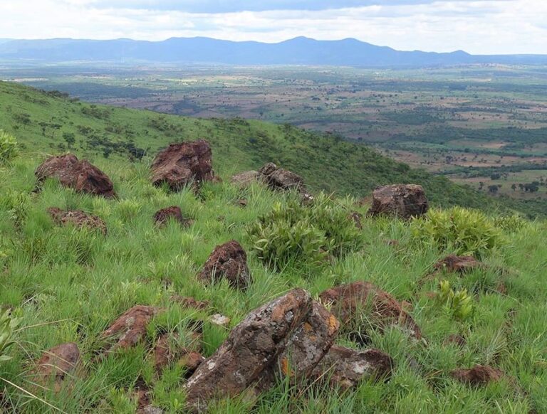 Pensana Plc completes FEED and Value Engineering Study at Saltend ...