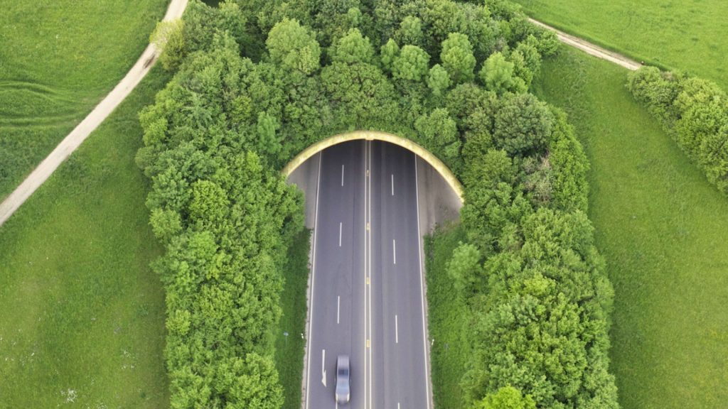 Hill & Smith PLC Alan Giddins assumes role of Executive Chair